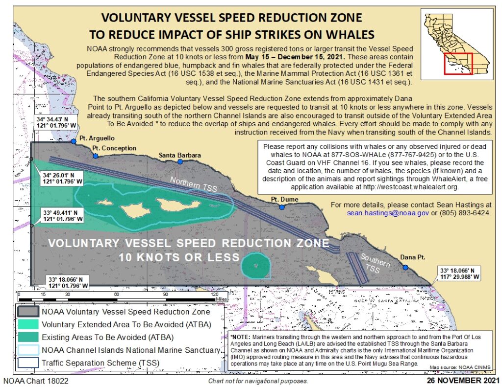 Whale Safe