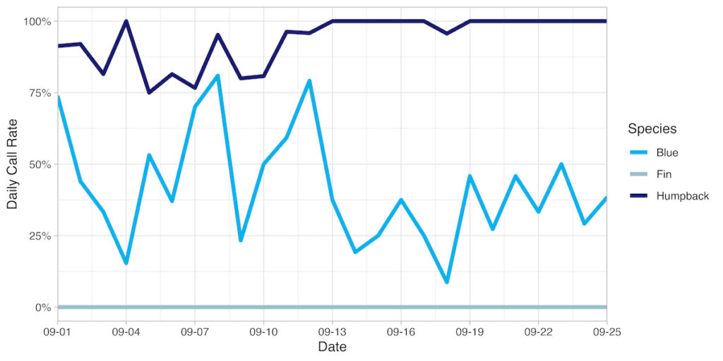 Announcing the Expansion of Whale Safe to San Francisco | Whale Safe